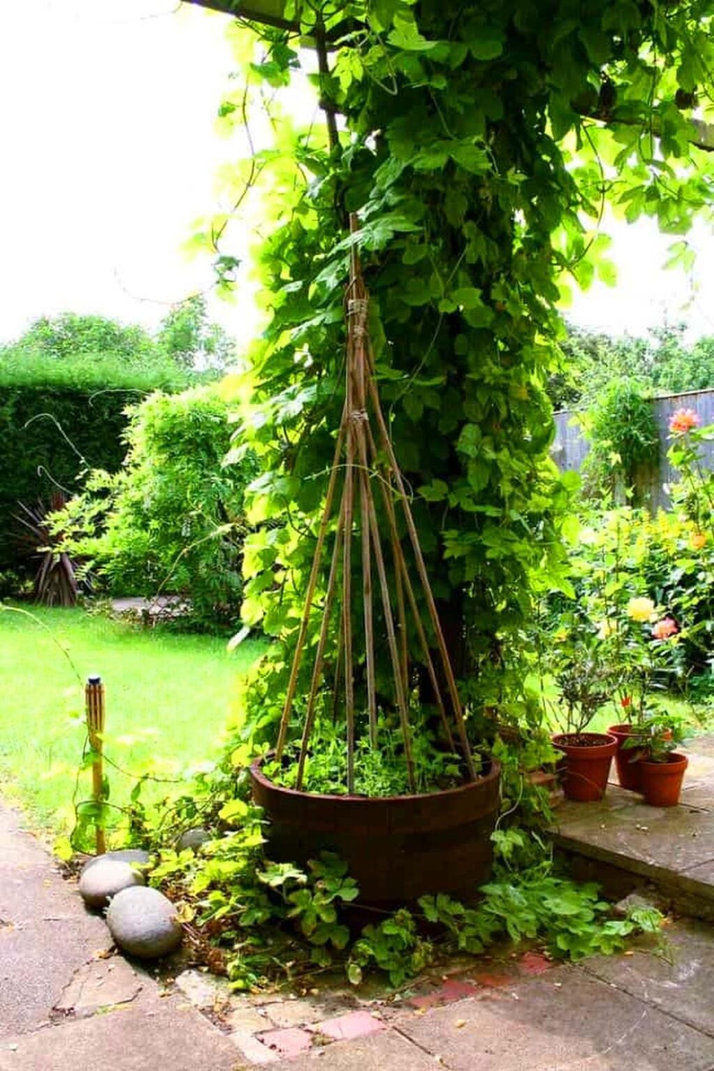 28 Easy DIY Pea Trellises for Better Harvests