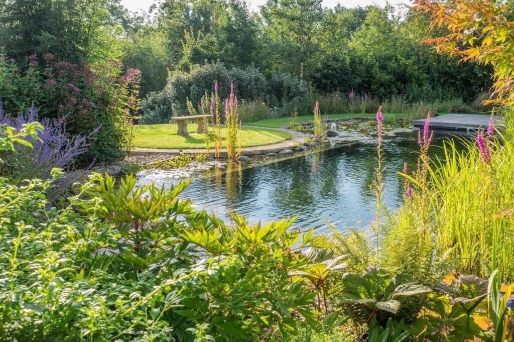 24 Stunning Natural Swimming Pond Ideas for a Relaxation Oasis