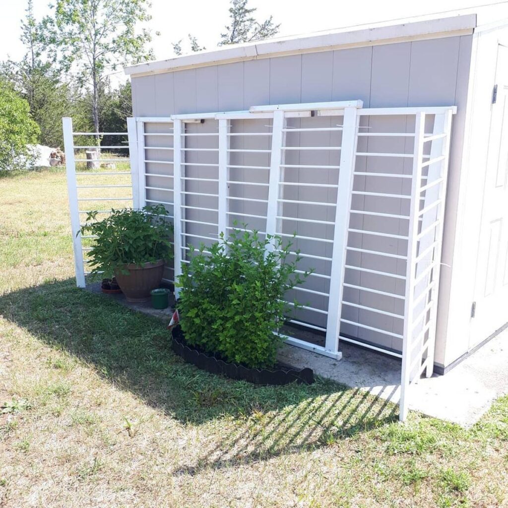 18 DIY Trellis Designs to Elevate Your Garden