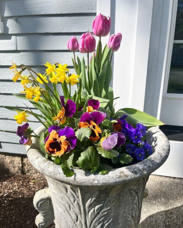 24 Beautiful Spring Planter Ideas for Garden Charm