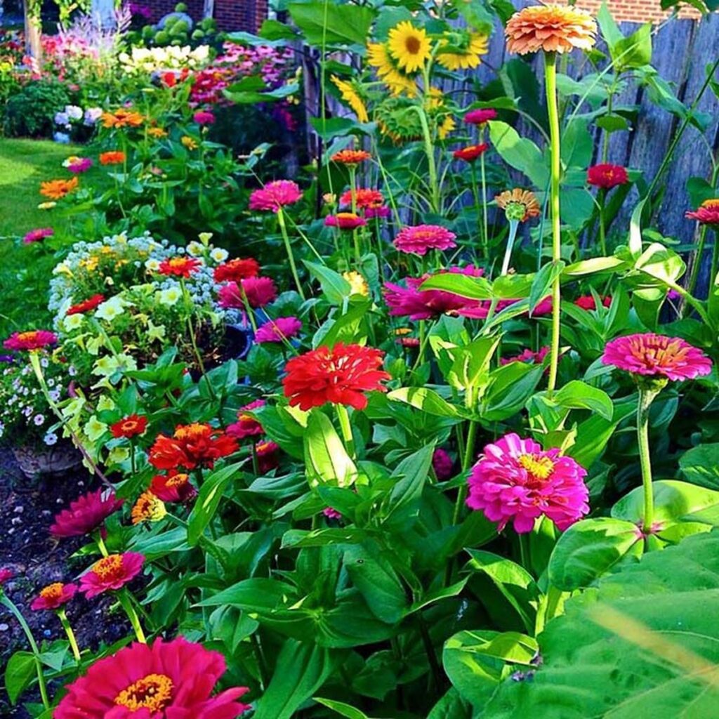36 Sunflower Garden Ideas for Joyful Spaces