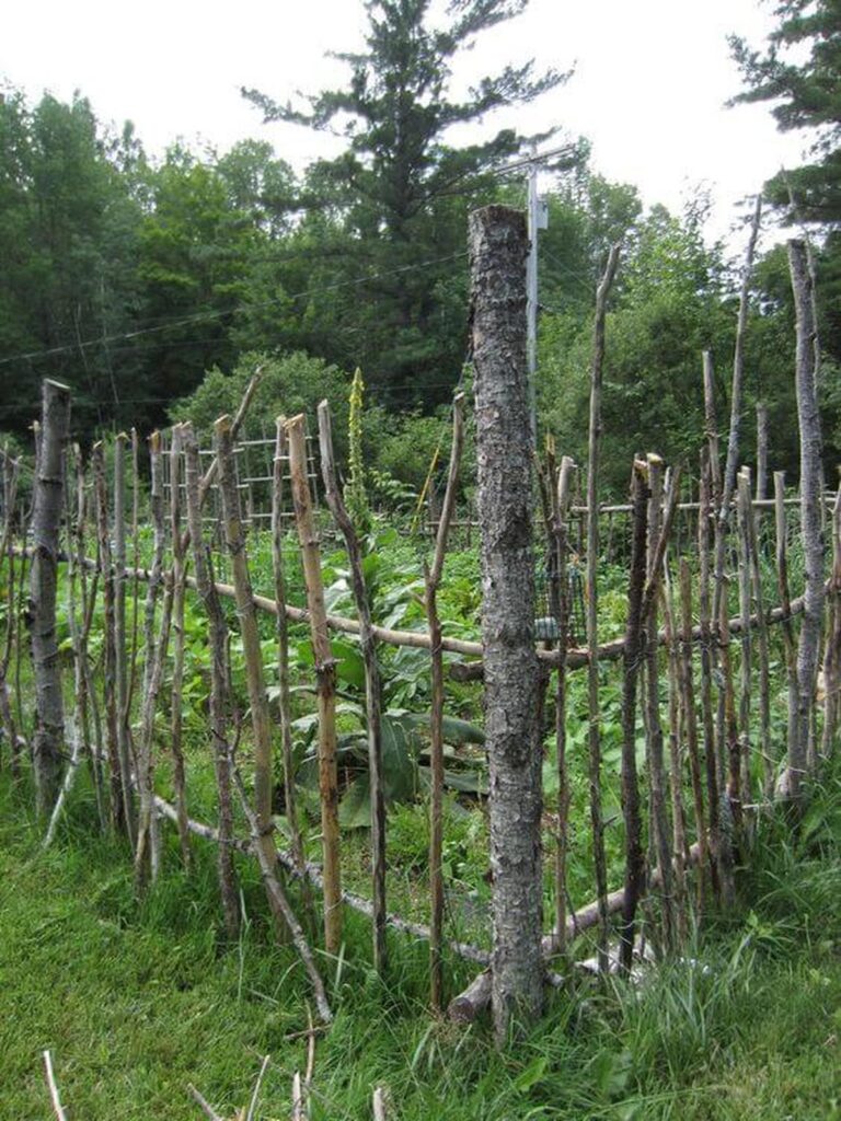 22 Best Twig Garden Projects for a Budget-Friendly Yard