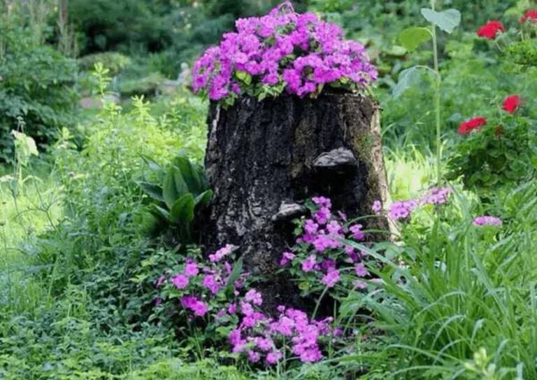 30 Innovative Tree Stump Decorations for Outdoor Spaces