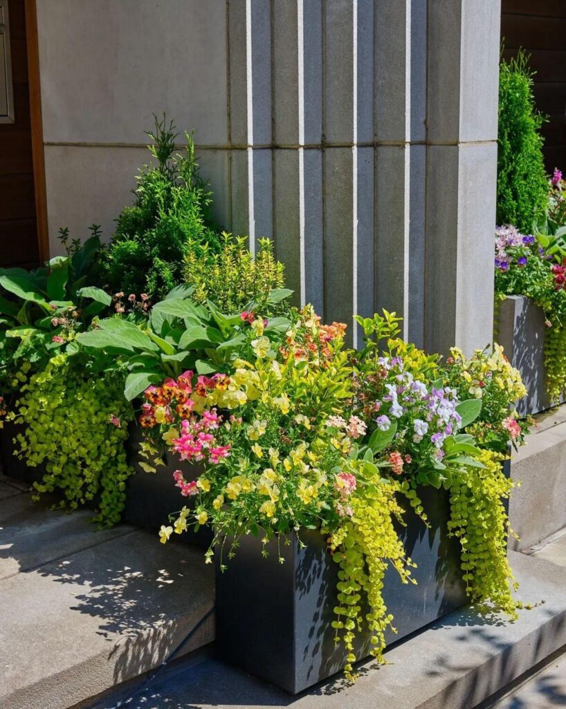 24 Beautiful Spring Planter Ideas for Garden Charm