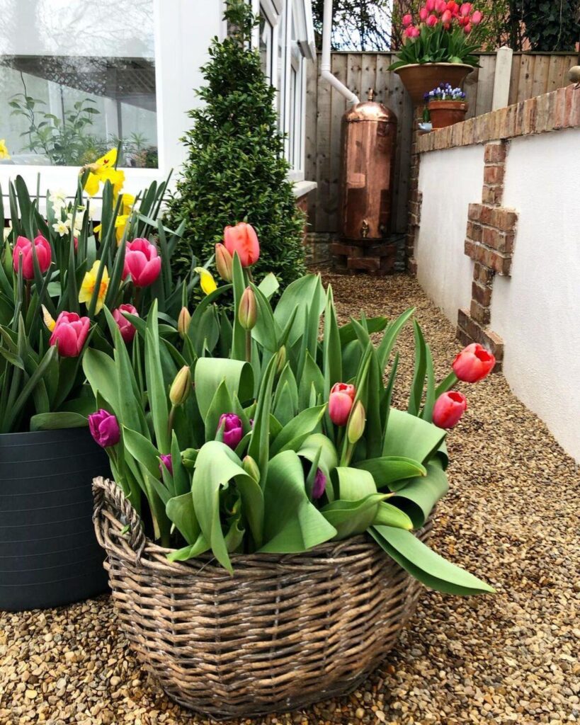 24 Beautiful Spring Planter Ideas for Garden Charm