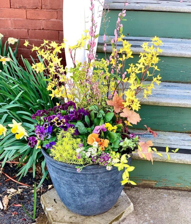 24 Beautiful Spring Planter Ideas for Garden Charm
