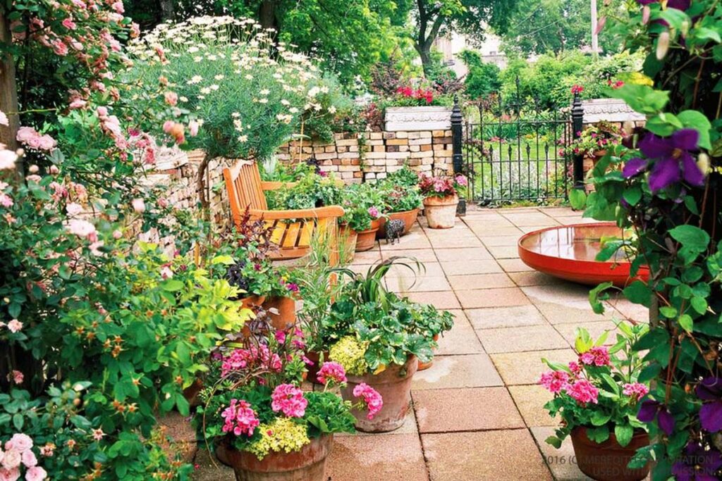 34 Inspiring Geranium Landscapes for a Flowering Garden