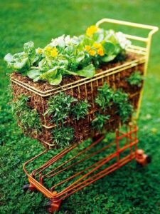 32 Best Repurposed Garden Container Ideas You’ll Love