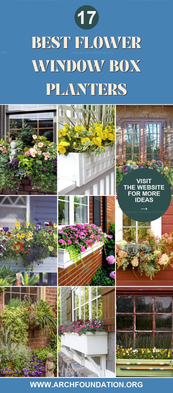 17 Beautiful Flower Window Box Planters You’ll Absolutely Love