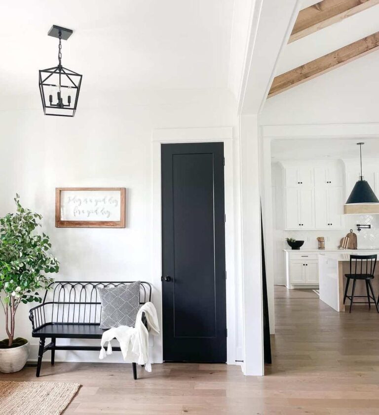 21 Gorgeous Black Interior Door Inspirations for a Dramatic, Stylish ...