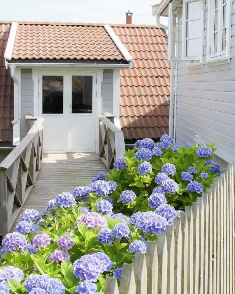 25 Outdoor Decor Ideas to Enhance Your Space -Architectural Foundation