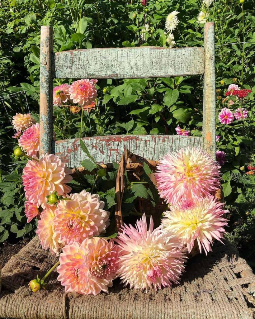 26 Garden Decor Ideas for a Beautiful Outdoor Space -Architectural ...