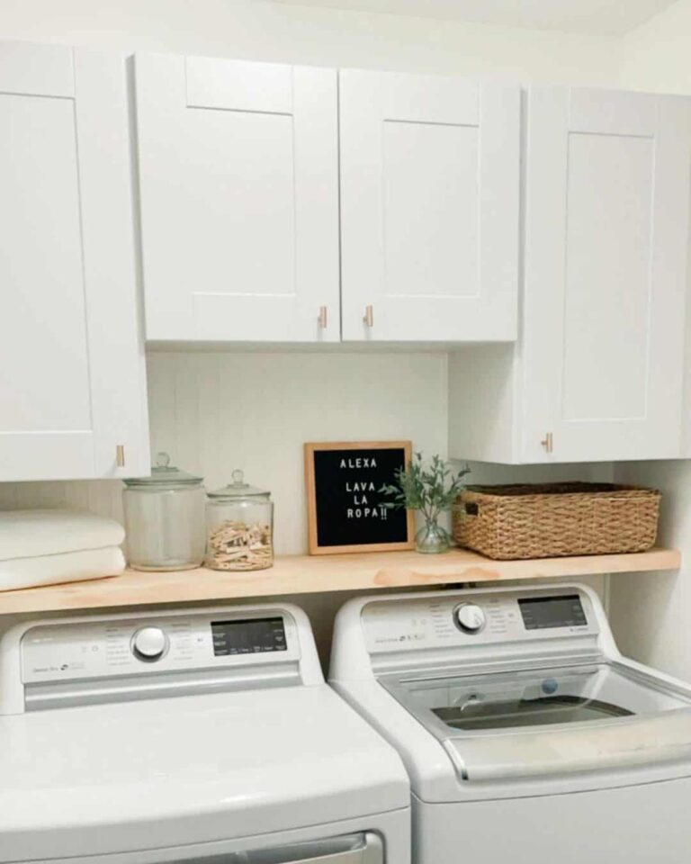 23 Innovative Storage Ideas for Laundry Detergent -Architectural Foundation