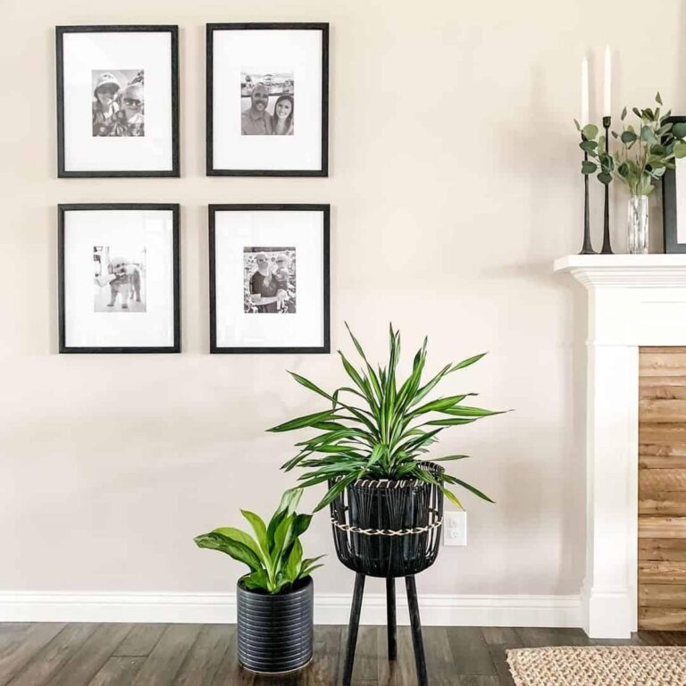 29 Black and White Wall Decor Ideas for a Classic Contrast ...