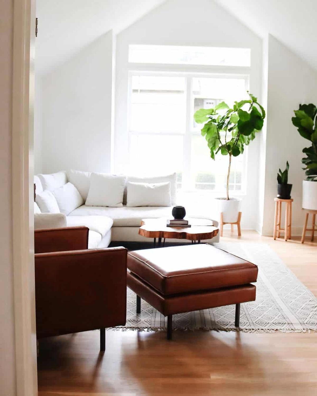 11 Easy Ways to Achieve a Clean, Organic, Modern Look for Your Home ...