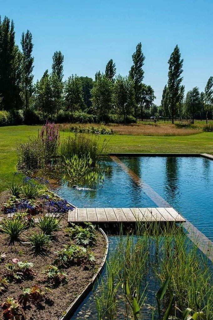 44 Beautiful Natural Swimming Pond and Pool Ideas