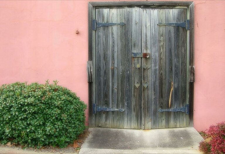 15 Charming Natural Wood Front Door Ideas to Welcome Home