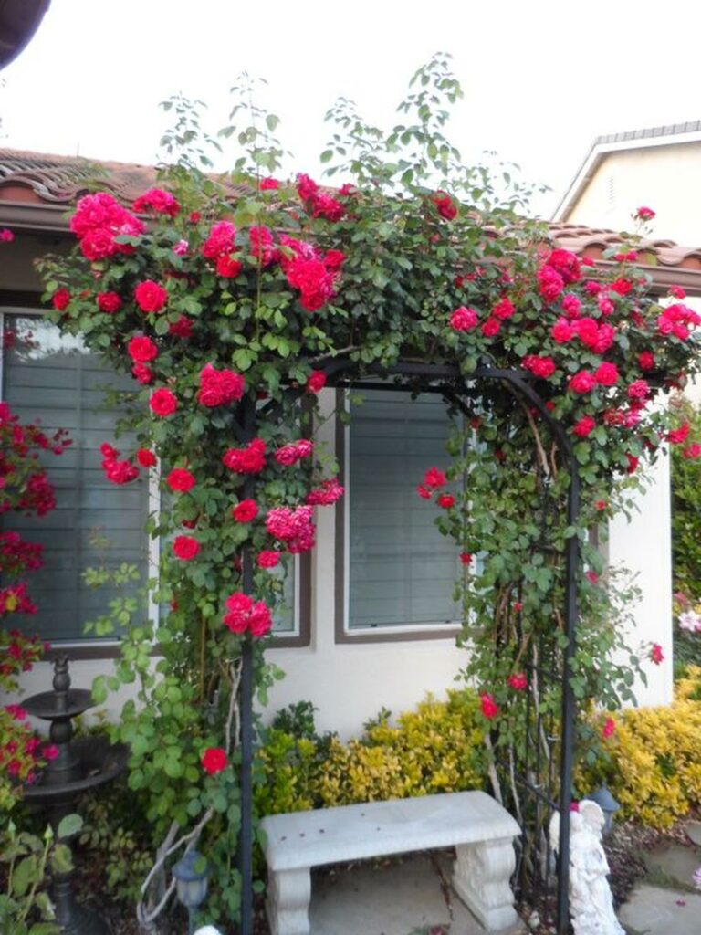40 Enchanting Flower Garden Arch Ideas