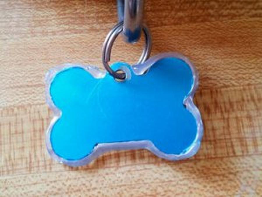 10 Easy DIY Dog Tag Ideas to Try at Home