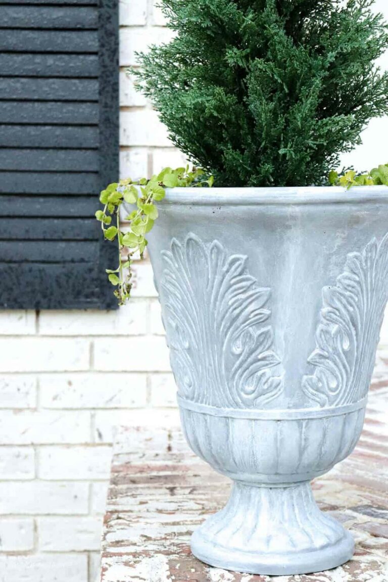 26 Elegant DIY Concrete Planters for Your Garden
