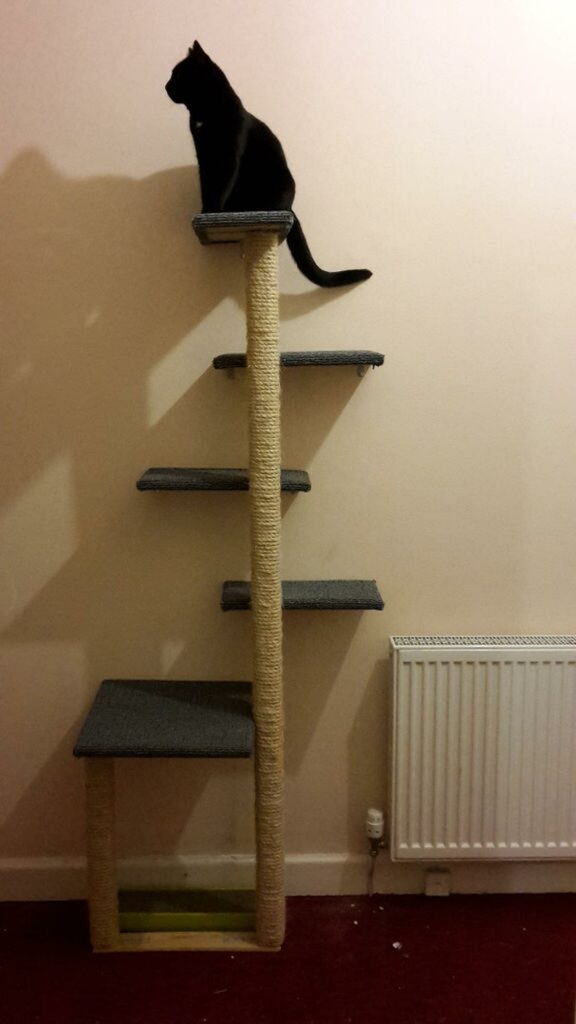 11 Fun DIY Cat Towers for Playful Felines