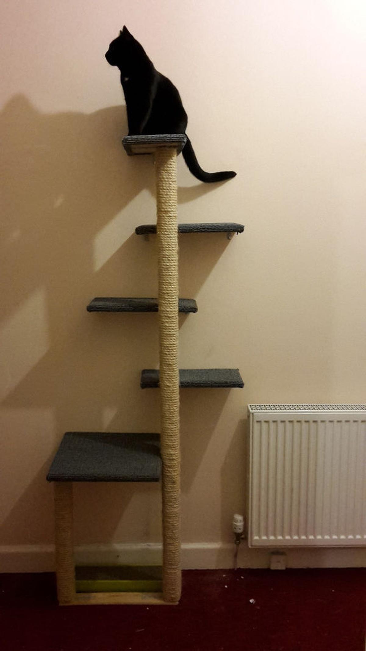11 Fun DIY Cat Towers for Playful Felines