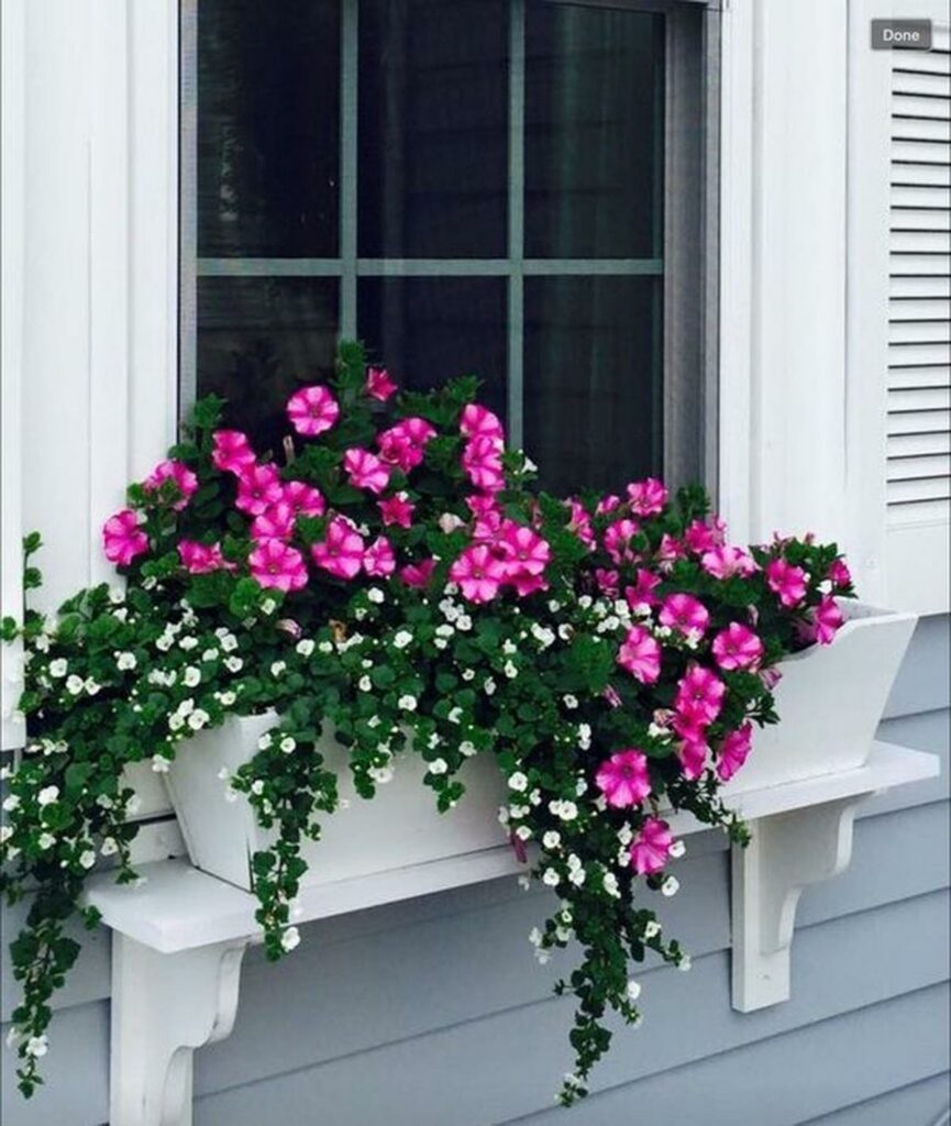48 Beautiful Window Box Decorating Ideas