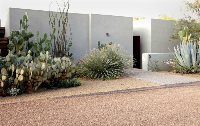 23 Breathtaking Desert Garden Design Ideas