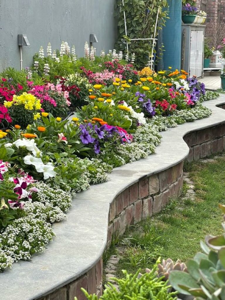 36 Stylish Brick Edging Designs for Garden Borders