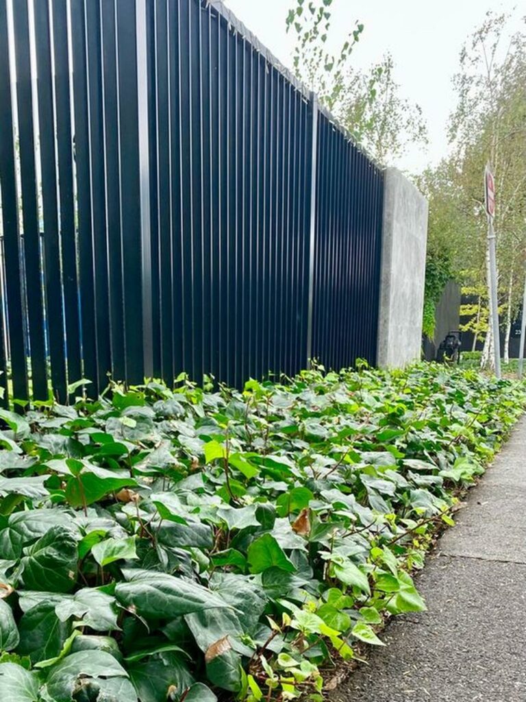 39 Elegant Metal Fence Designs with Pros and Cons