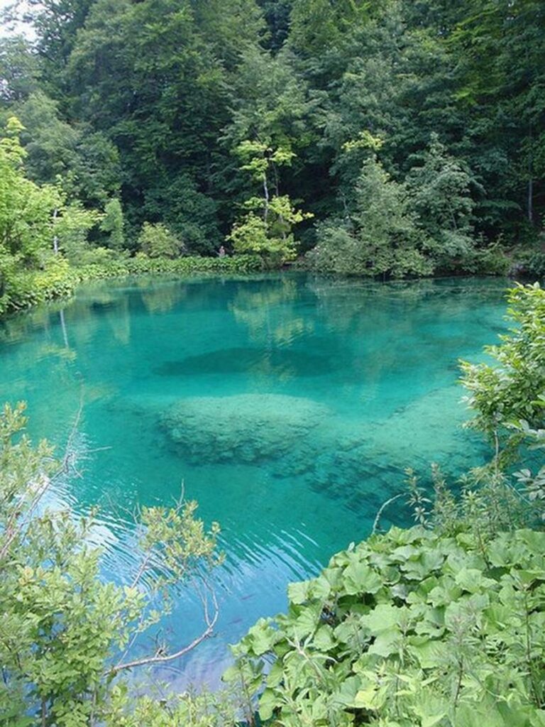 44 Beautiful Natural Swimming Pond and Pool Ideas