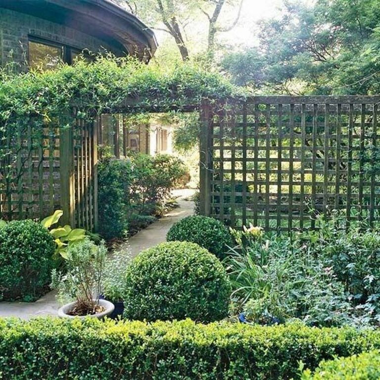 39 Enchanting Trellis Fence Ideas With Pros And Cons