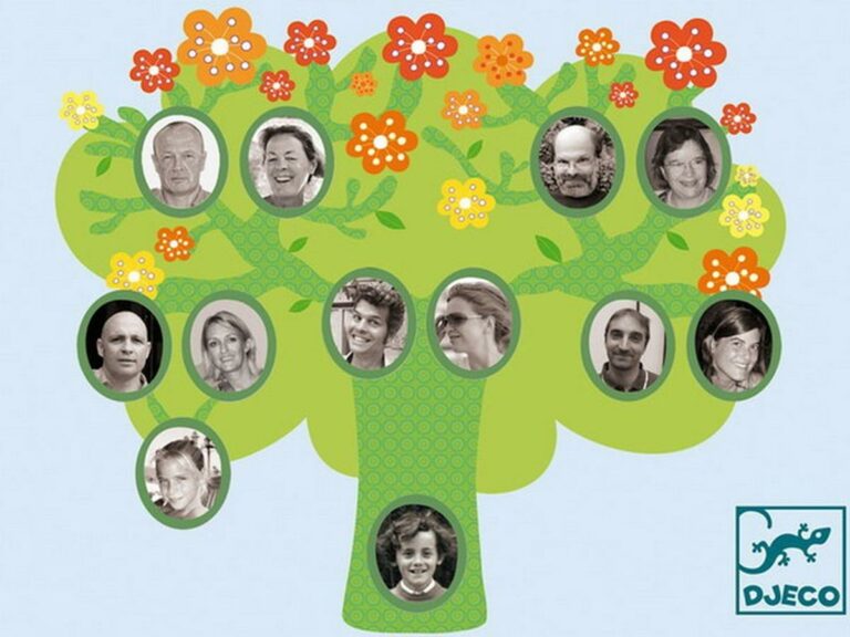 25 Family Tree Wall Art Ideas for Personal Touches