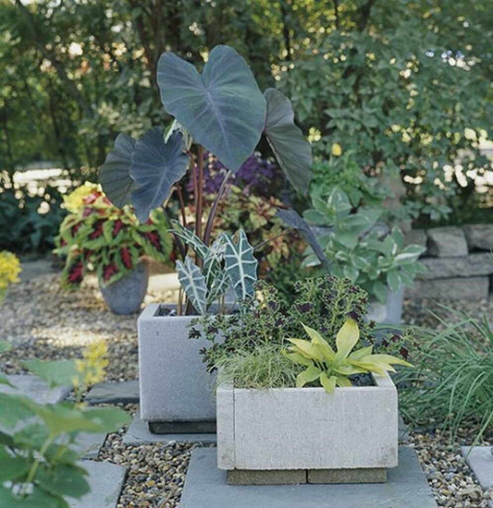 26 Elegant DIY Concrete Planters for Your Garden