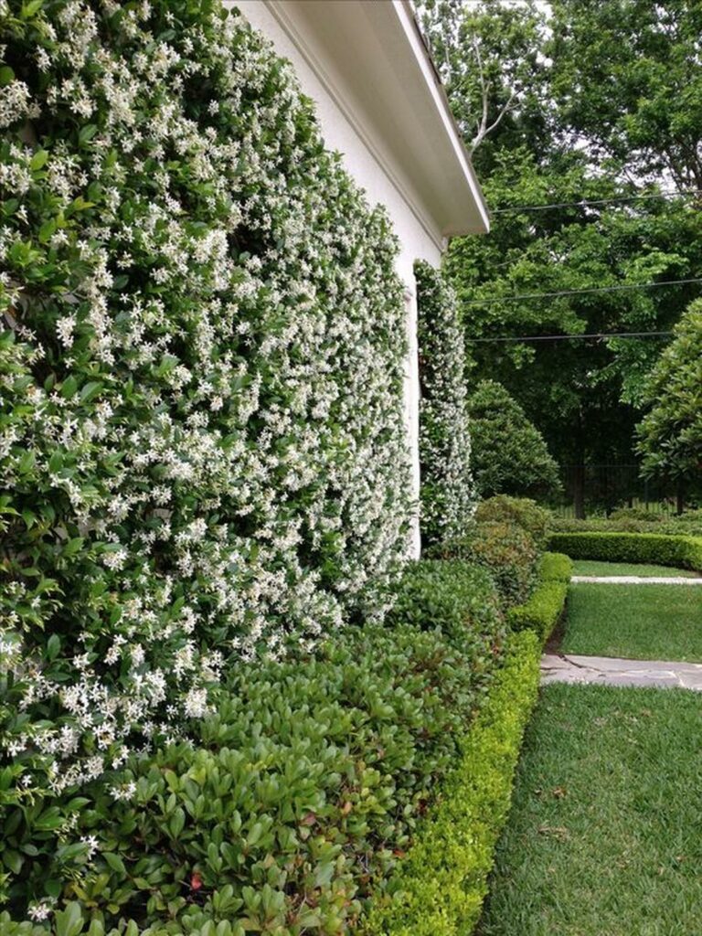 44 Fabulous Ideas for Exterior Wall Decorating