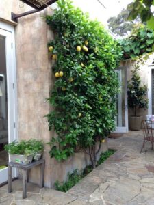 44 Fabulous Ideas for Exterior Wall Decorating