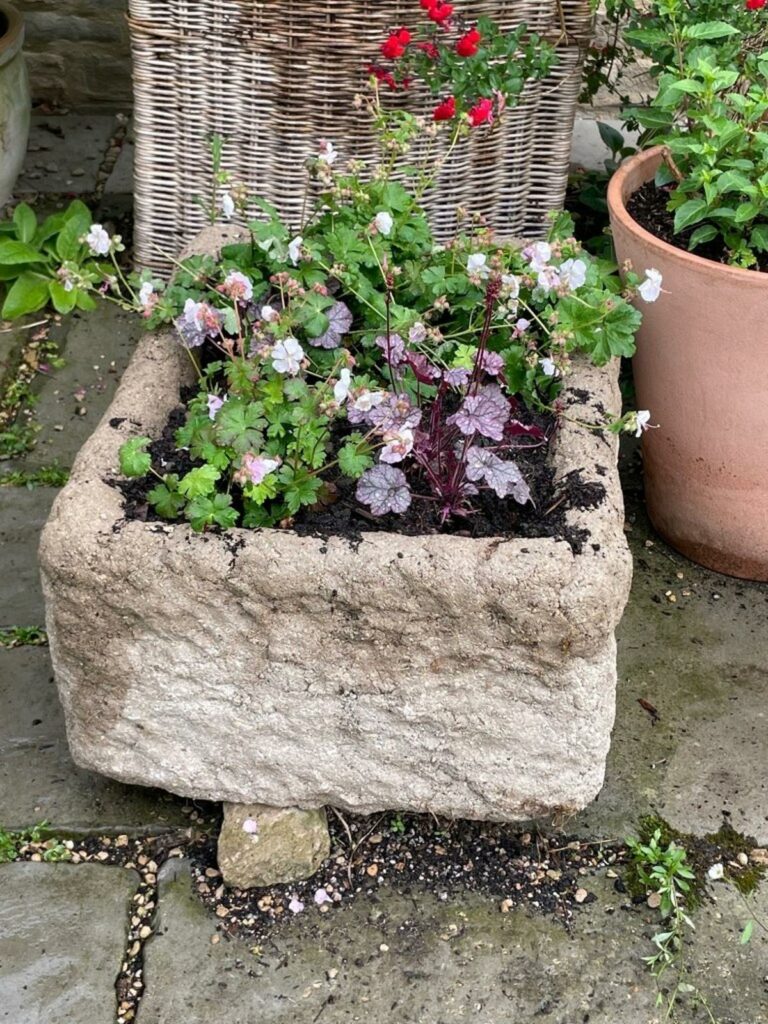 26 Elegant DIY Concrete Planters for Your Garden