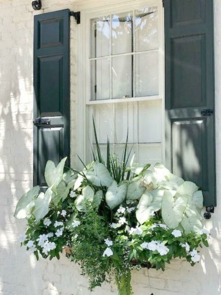 48 Beautiful Window Box Decorating Ideas