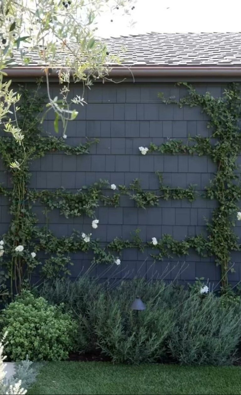 44 Fabulous Ideas for Exterior Wall Decorating