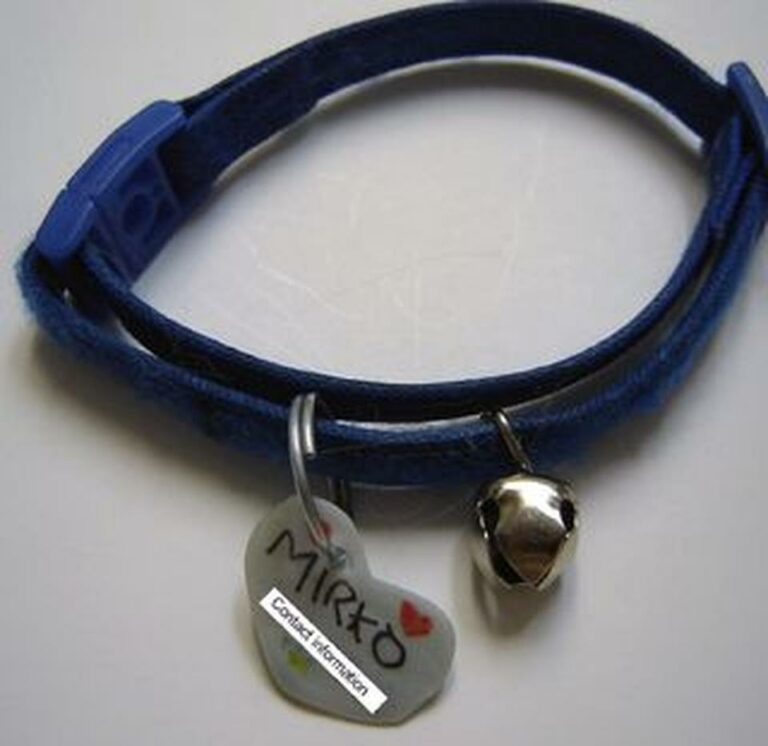 10 Easy DIY Dog Tag Ideas to Try at Home