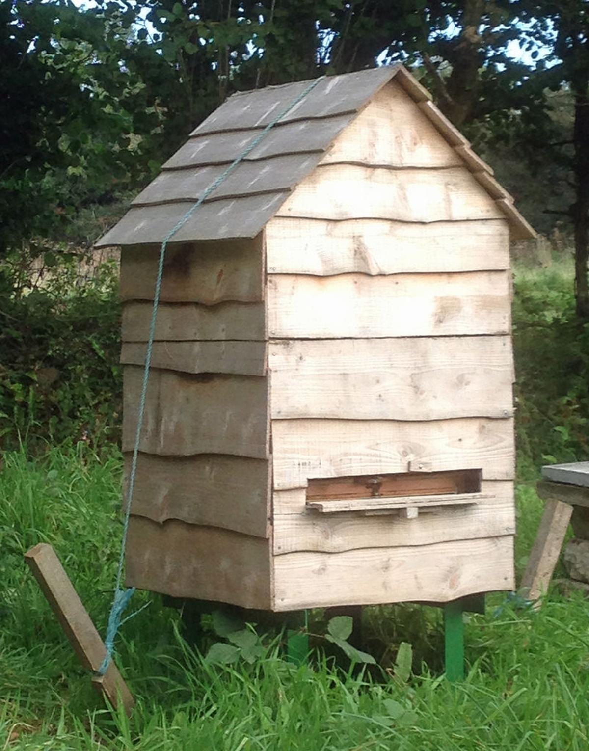 9 Simple DIY Beehive Projects You Can Build for Free