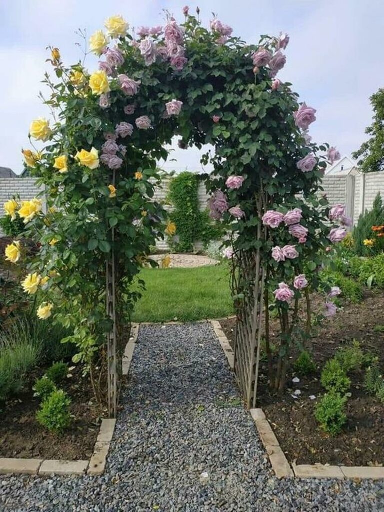 40 Enchanting Flower Garden Arch Ideas