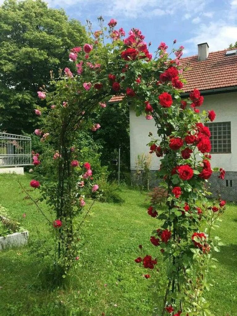 40 Enchanting Flower Garden Arch Ideas