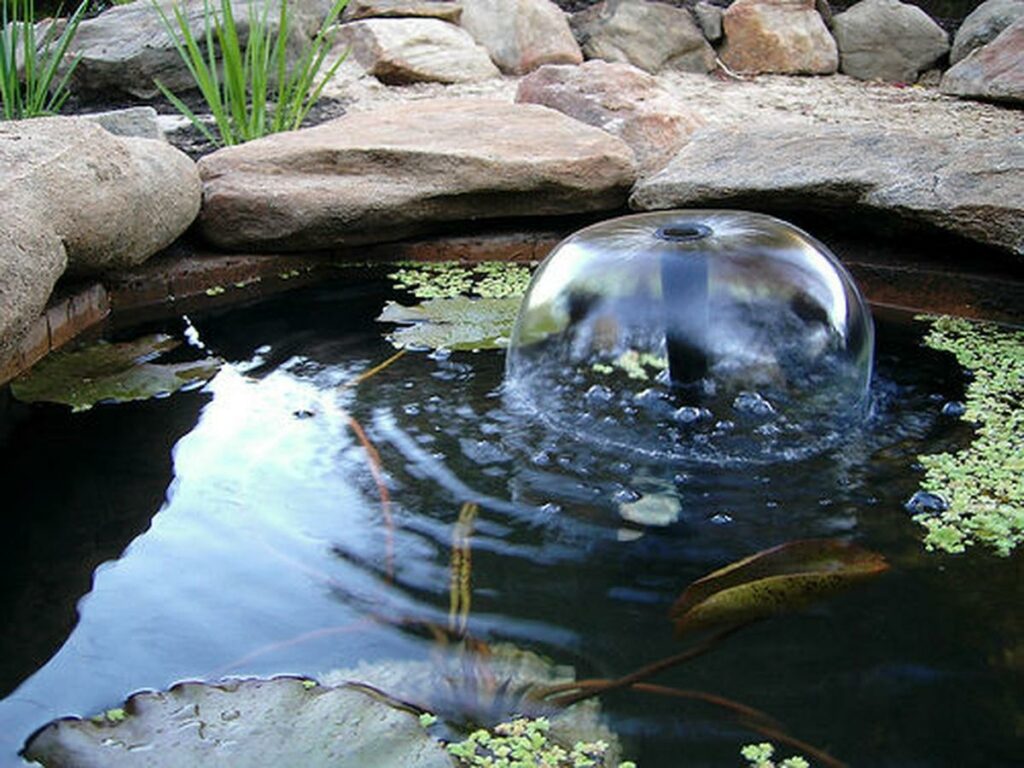 7 Gorgeous Natural Rock Pond Ideas for Your Garden