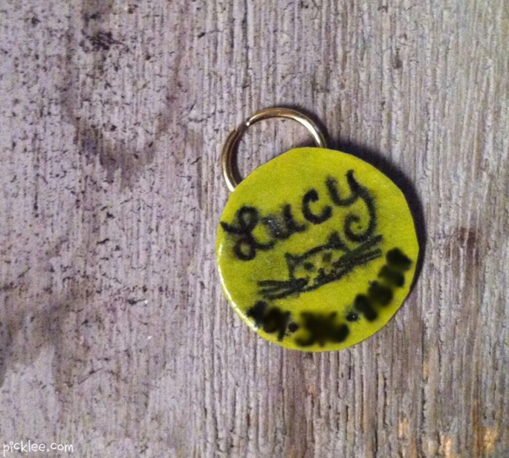 10 Easy DIY Dog Tag Ideas to Try at Home