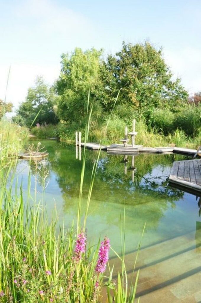 44 Beautiful Natural Swimming Pond and Pool Ideas