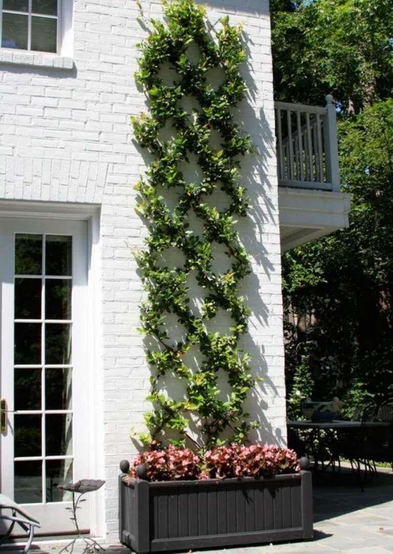 44 Fabulous Ideas for Exterior Wall Decorating
