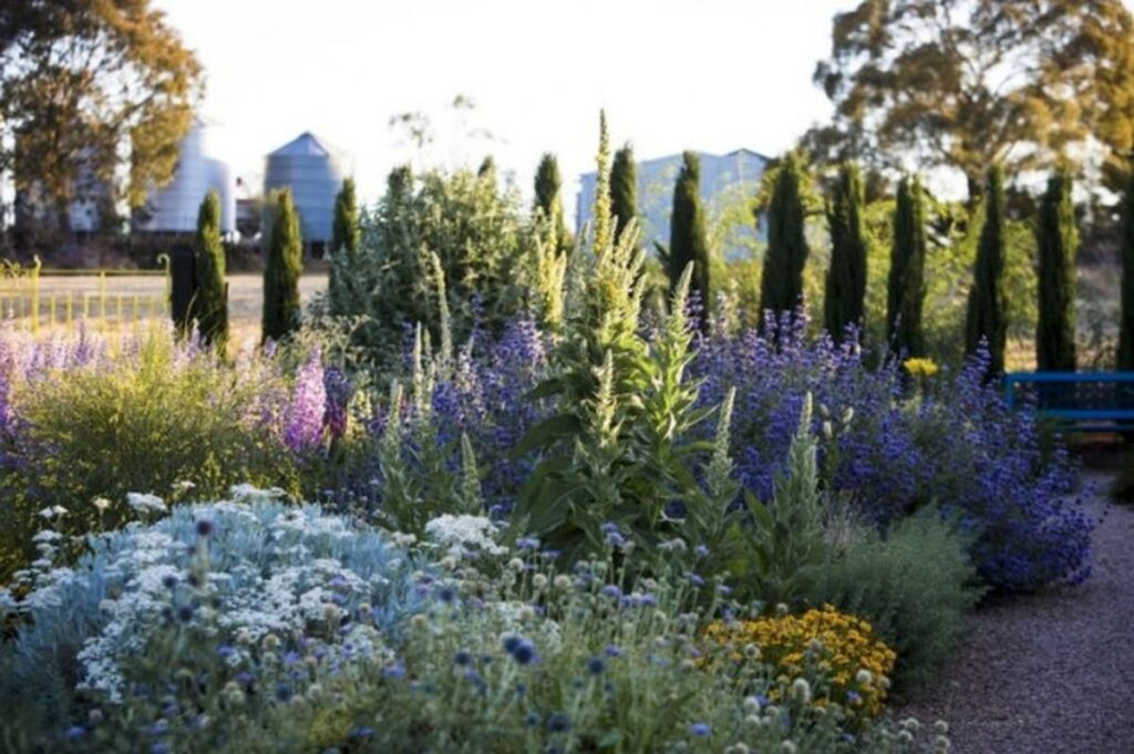 33 Drought-Tolerant Landscaping Ideas for Gardens