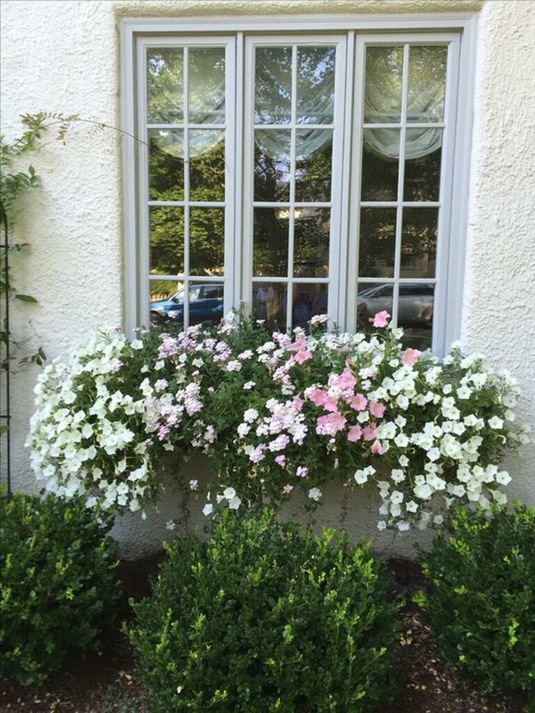 48 Beautiful Window Box Decorating Ideas