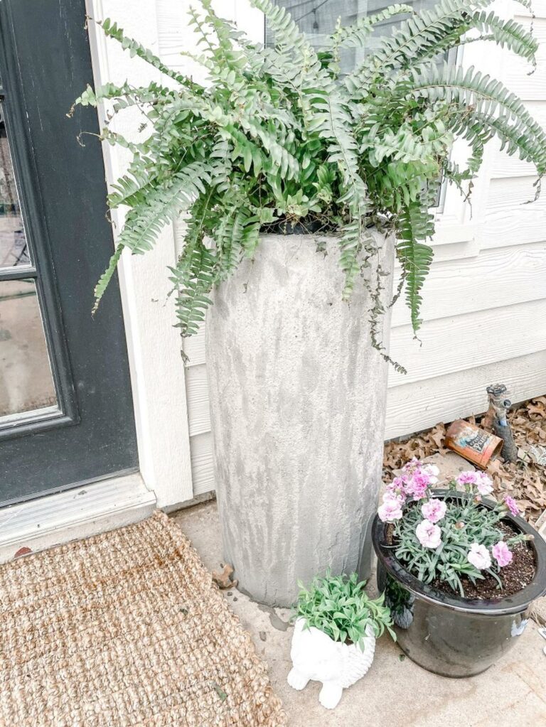 26 Elegant DIY Concrete Planters for Your Garden